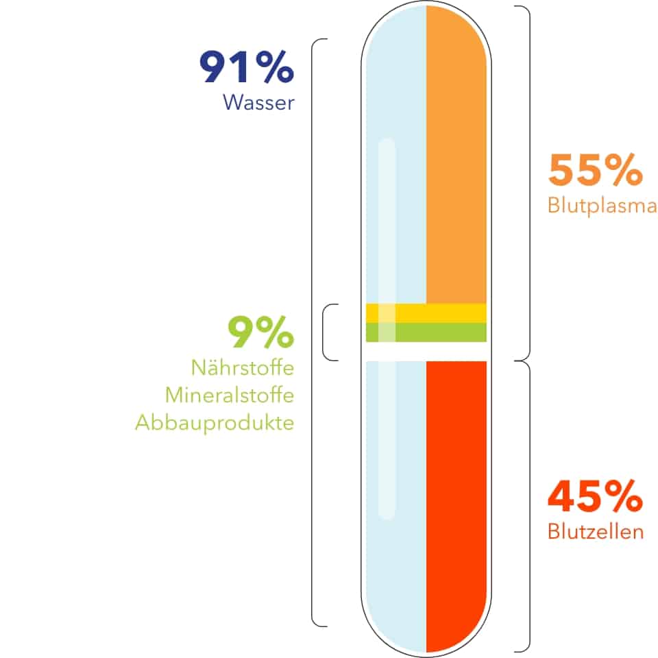 BioLife Plasmazentrum | Weitere Informationen über Plasma