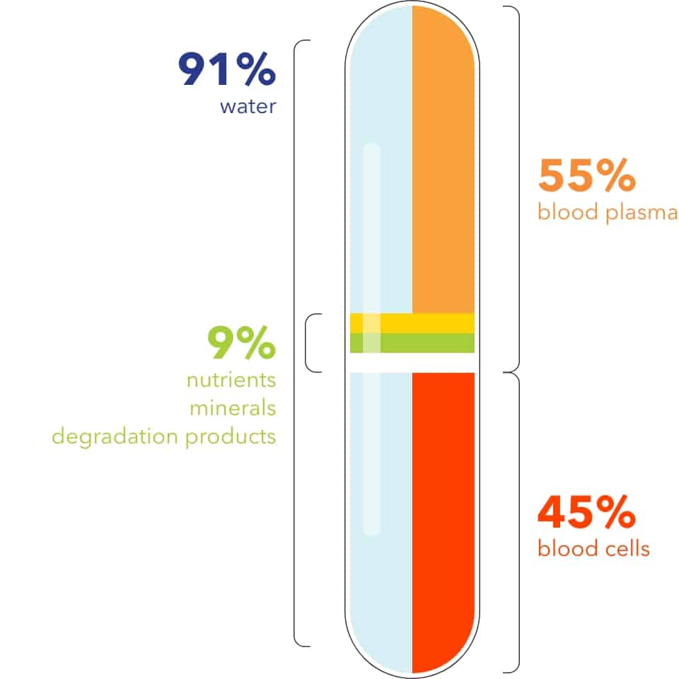 About plasma - BioLife Plasmazentrum